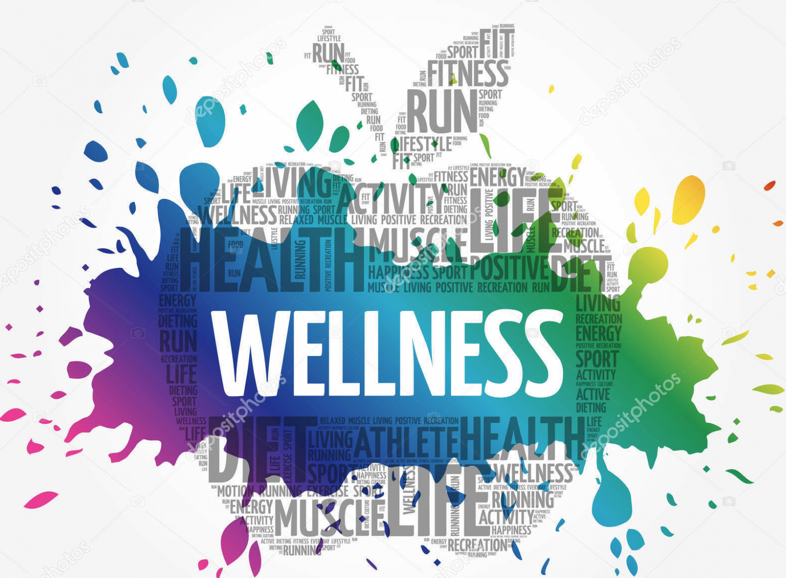 Mod 2: Definition of a Health and Wellness Program